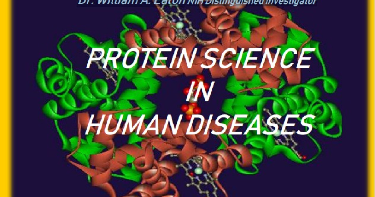 25 maggio: workshop “Protein science in human diseases” | Dipartimento ...